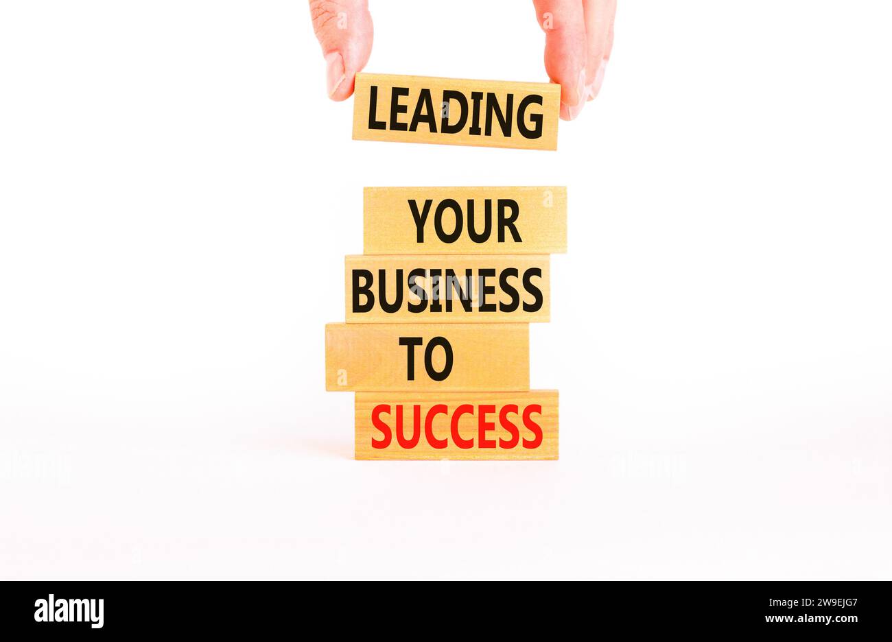 Leading your business to success symbol. Concept words Leading your ...
