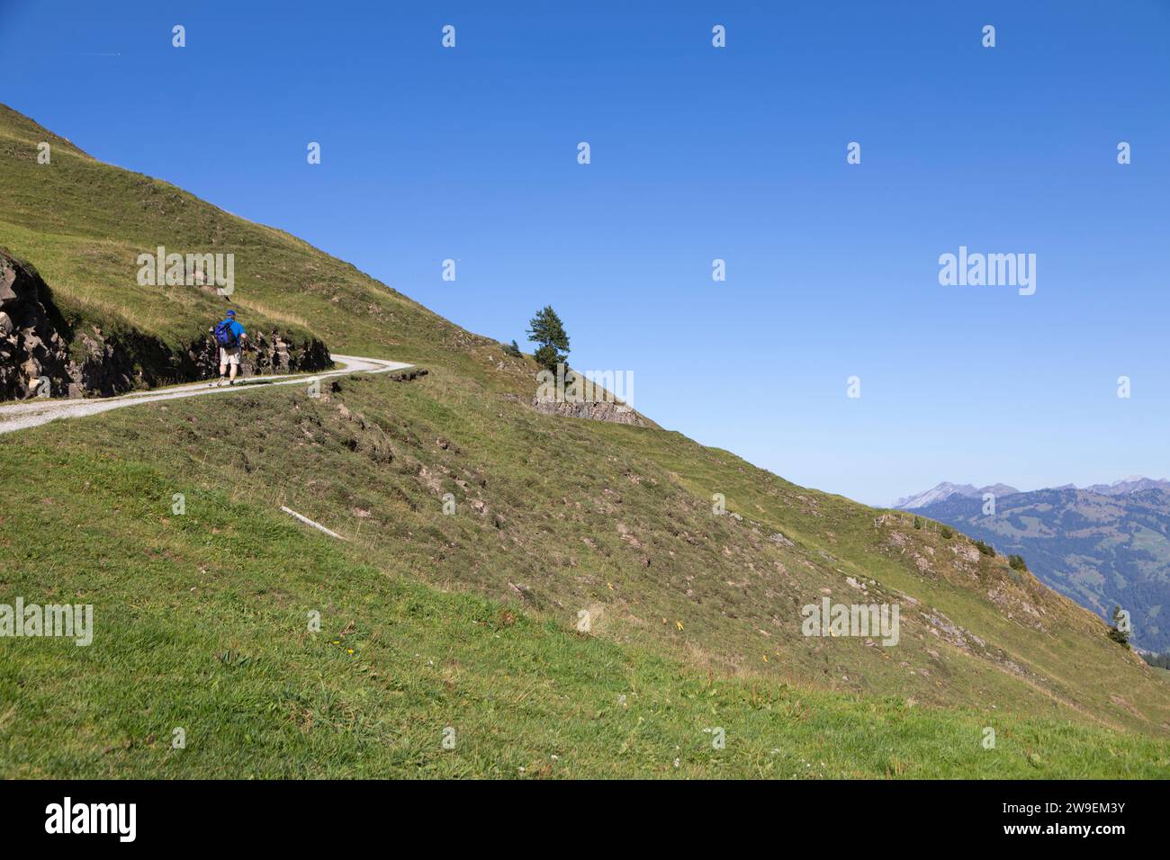 Man walking on the Swiss Alps, Stoos, Schwyz, Switzerland Stock Photo ...