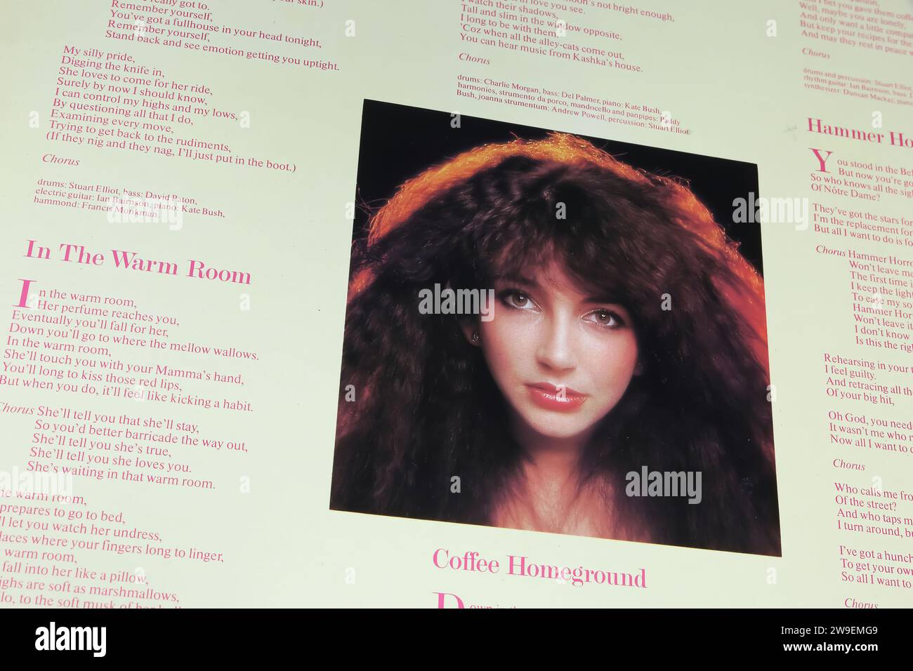 Viersen, Germany - May 9. 2023: Closeup of british singer Kate Bush ...