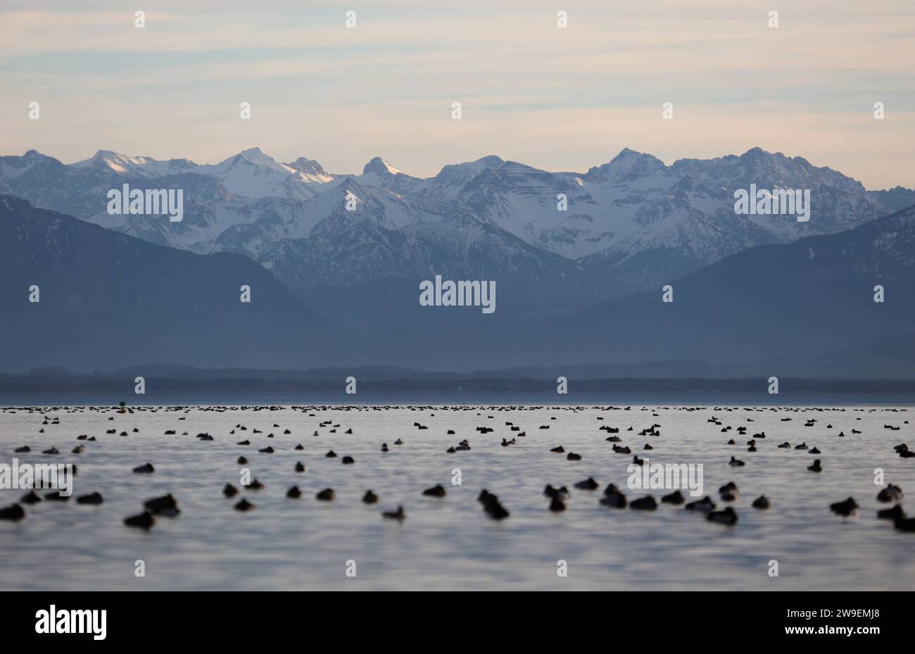 Quatern hi-res stock photography and images - Alamy