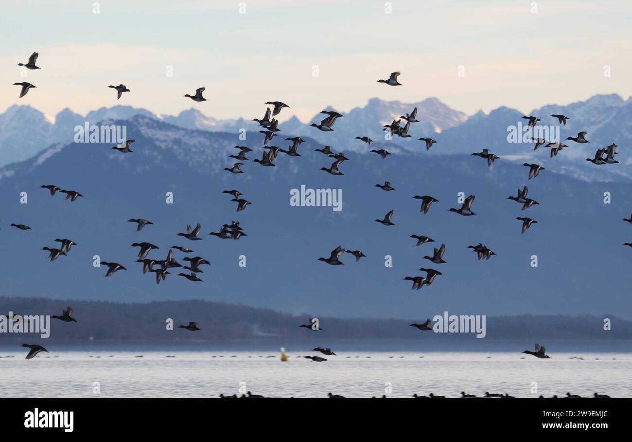 Quatern hi-res stock photography and images - Alamy