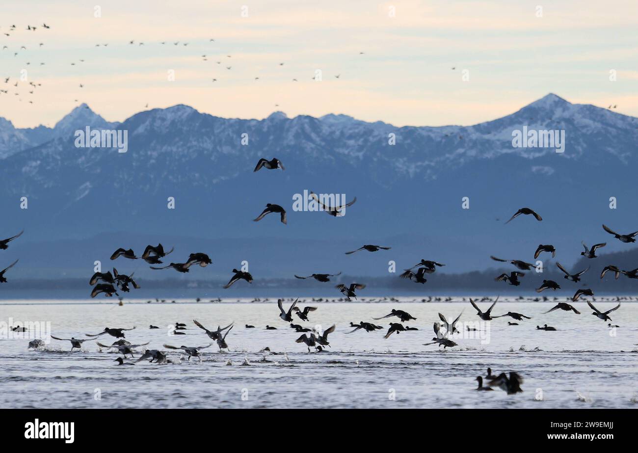 Quatern hi-res stock photography and images - Alamy