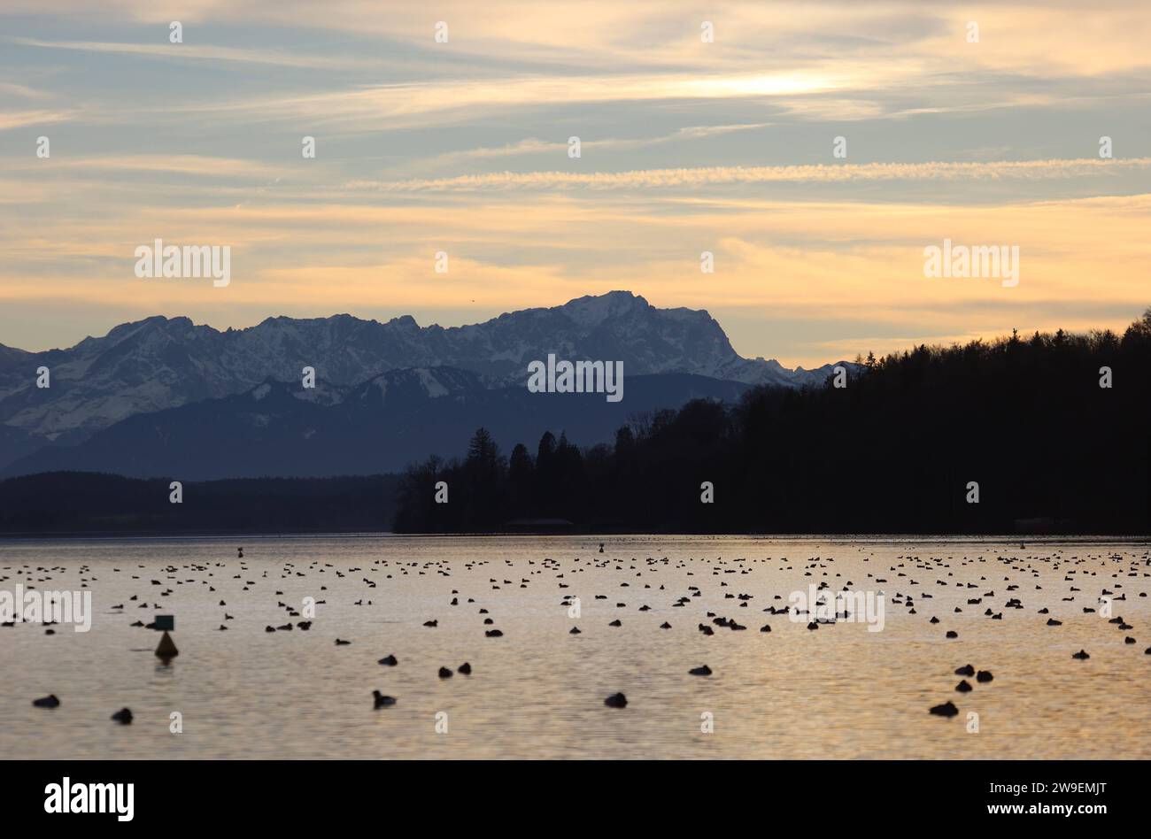 Quatern hi-res stock photography and images - Alamy