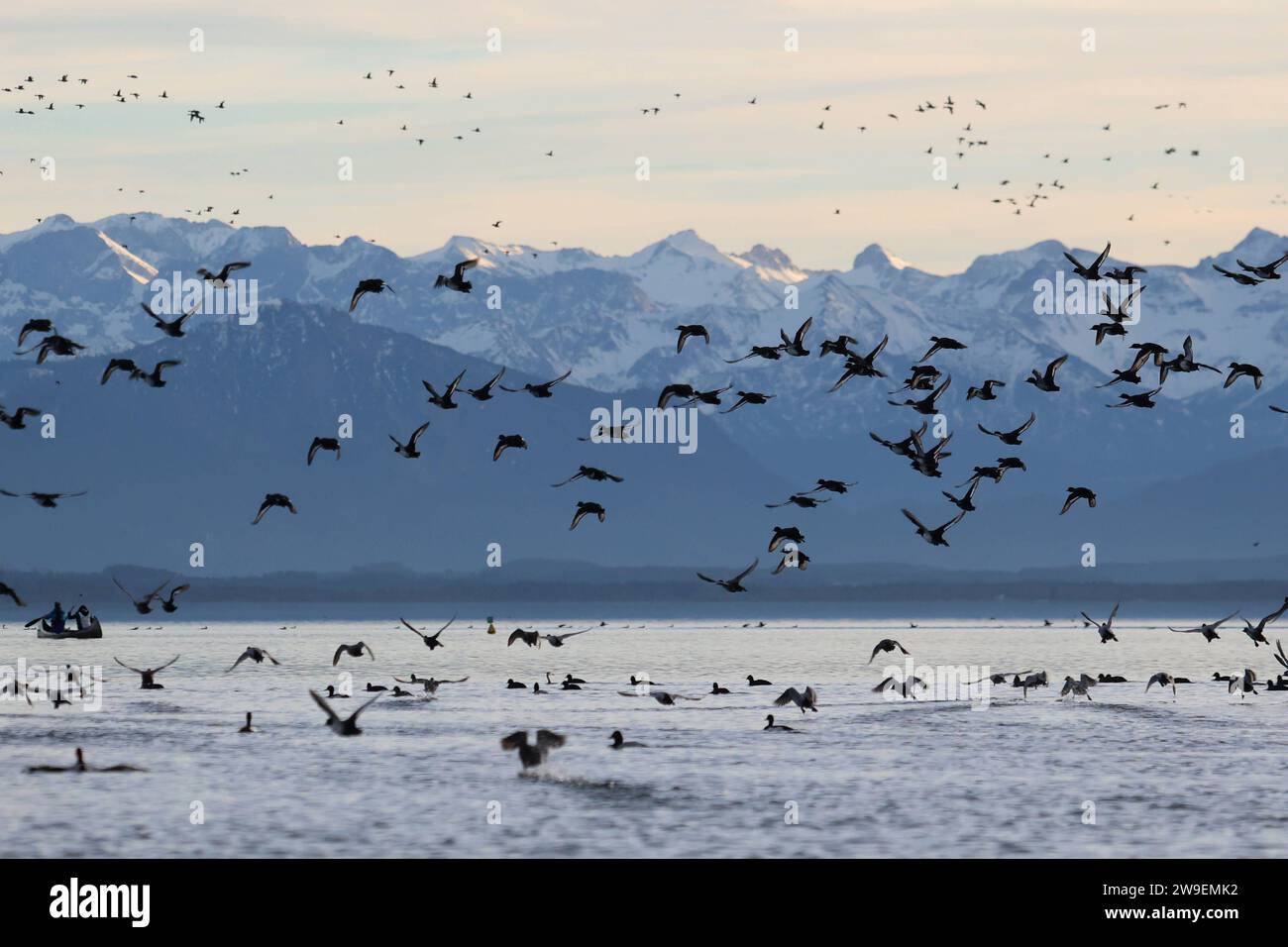 Quatern hi-res stock photography and images - Alamy