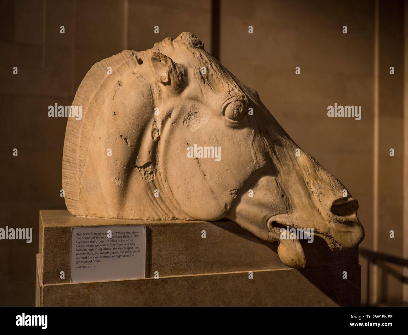 The controversial, Elgin Marbles, The Parthenon Galleries, British ...