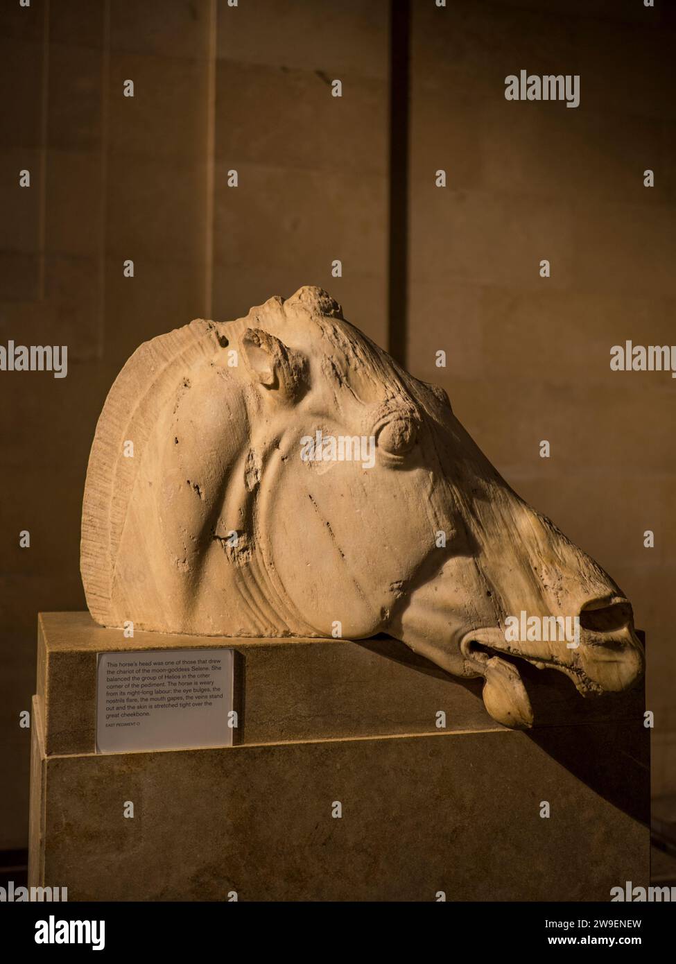 The controversial, Elgin Marbles, The Parthenon Galleries, British ...