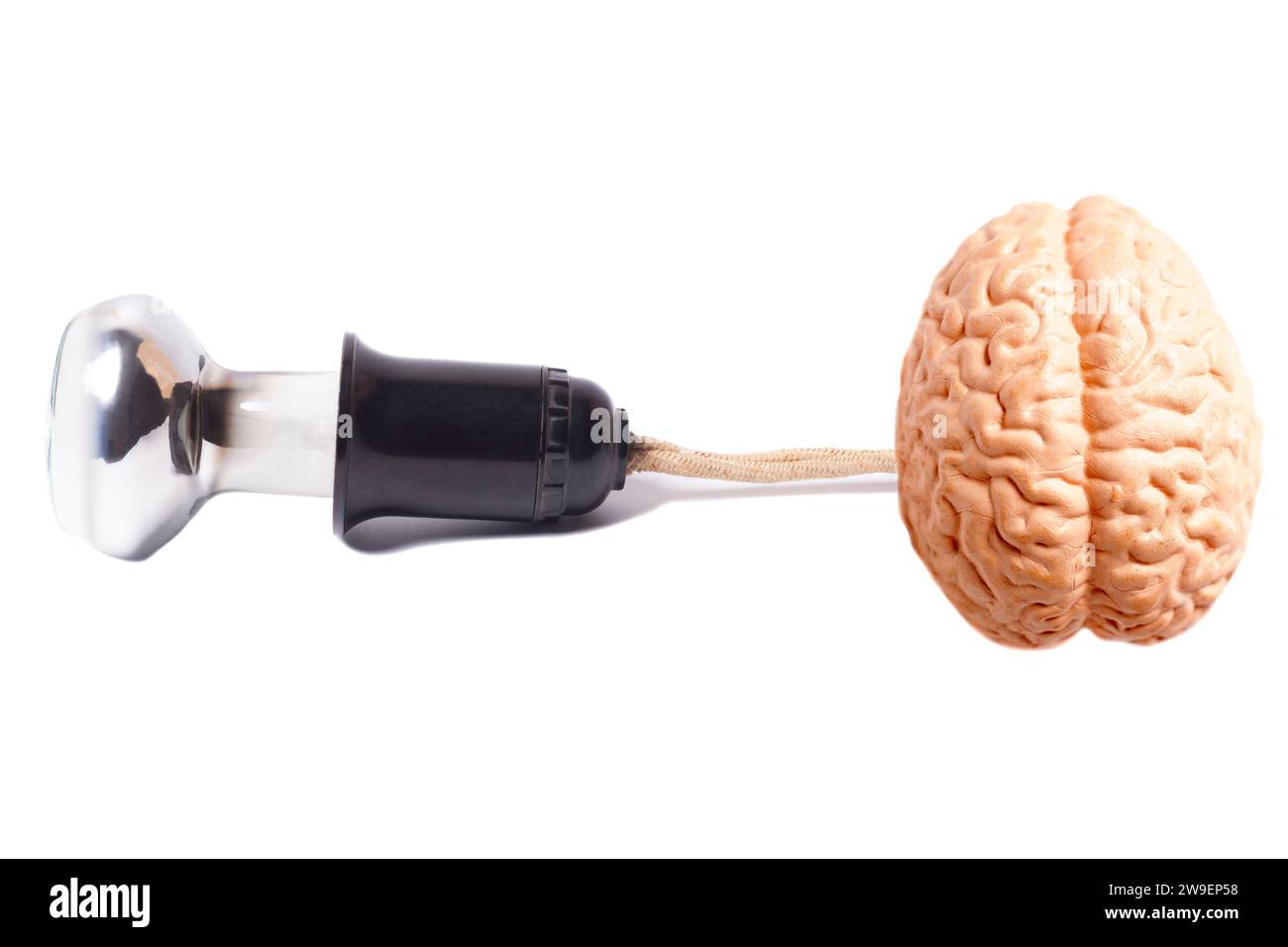 incandescent tungsten mirror reflex lamp with human brain anatomical ...