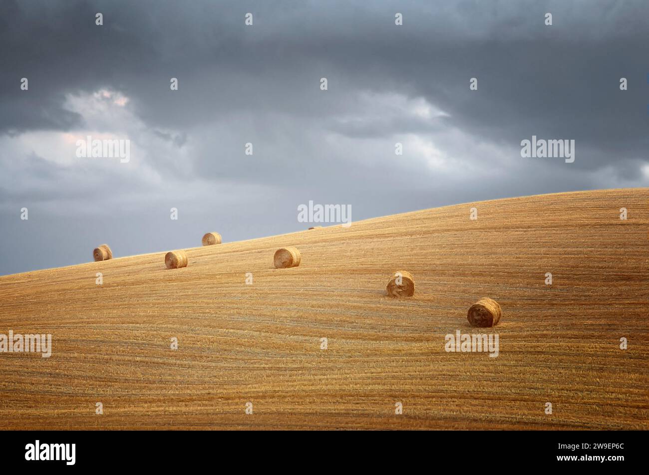 Crete Senesi rural landscape, Tuscany; Italy. Countryside scenery with ...