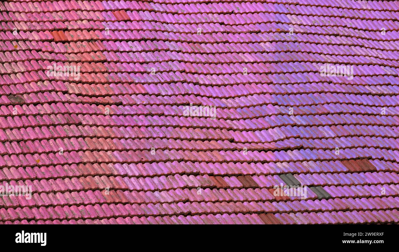 Wavy roof hi-res stock photography and images - Alamy