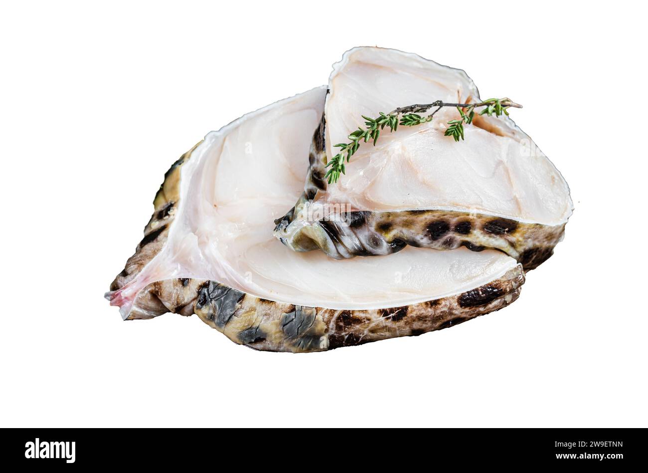 Fresh Raw wolffish o wolf fish Steak Isolated on white background, top ...