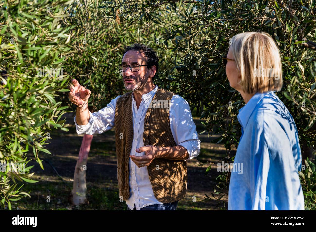 Woodland adaptation hi-res stock photography and images - Alamy