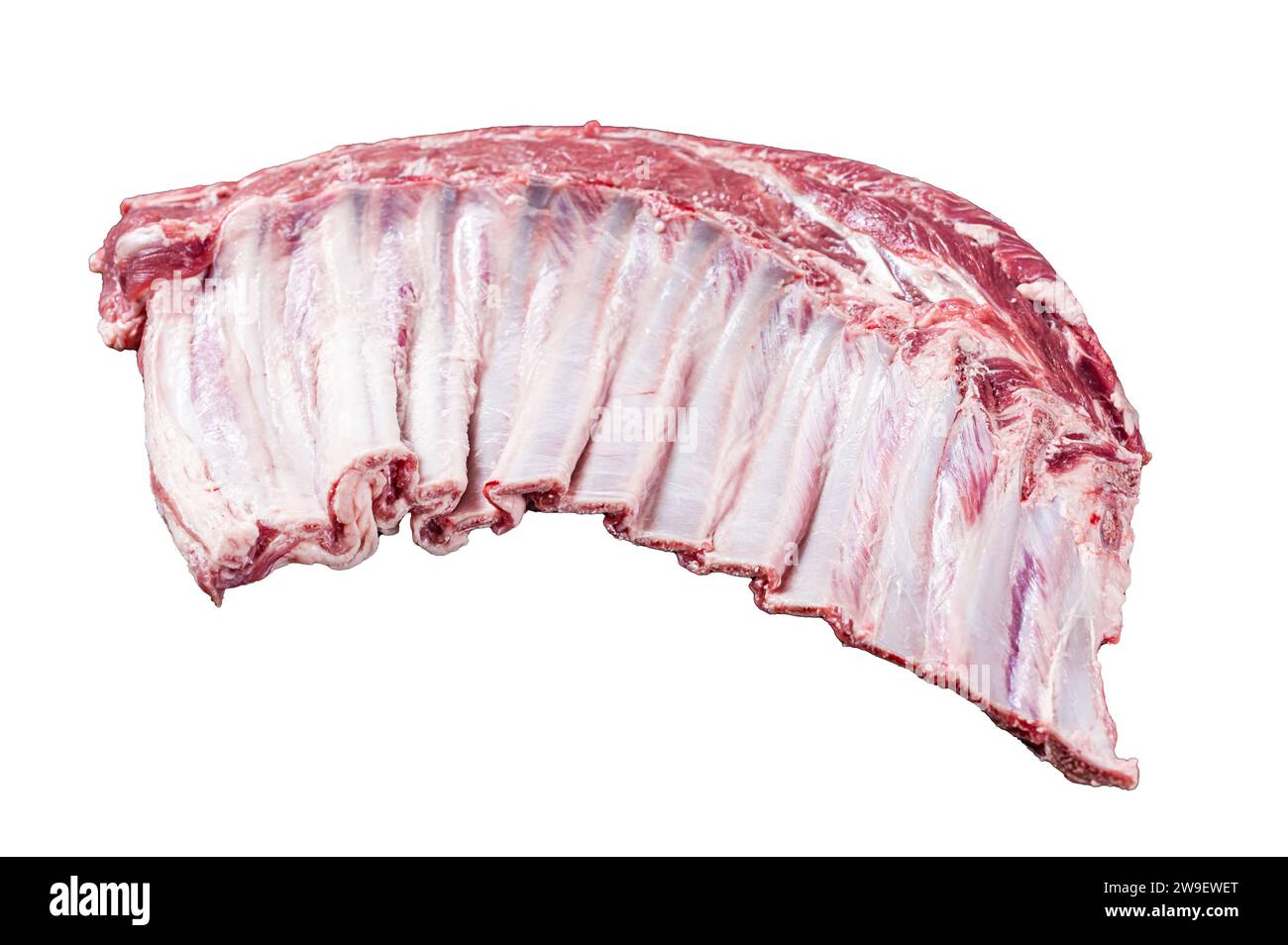 Raw rack of lamb ribs Isolated on white background, top view Stock ...