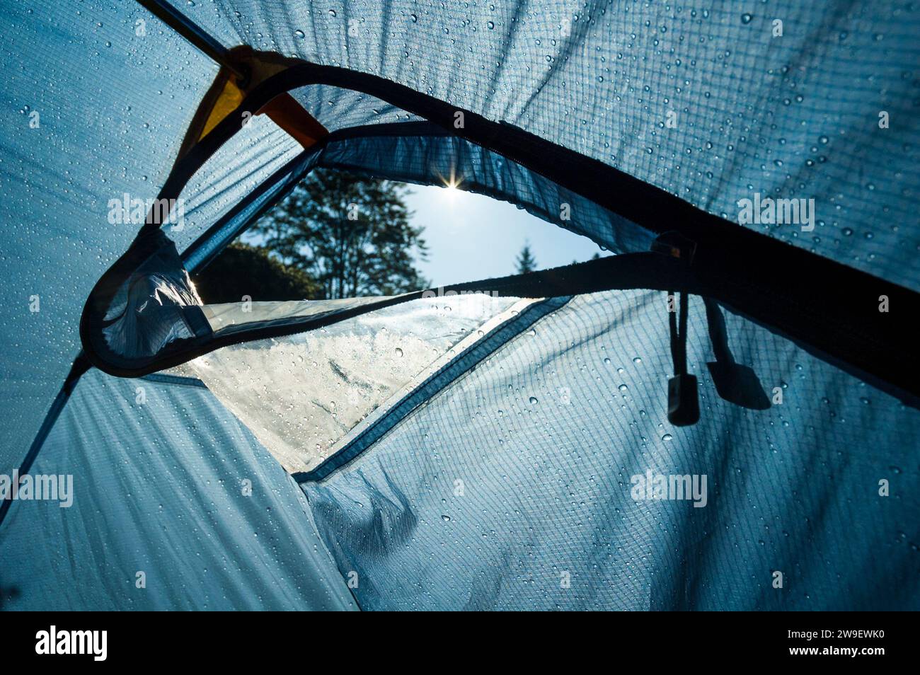 Inside a blue tent first thing in the morning somewhere in France Stock ...