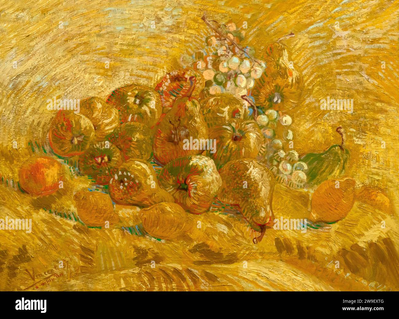 Quinces, Lemons, Pears and Grapes, Vincent van Gogh, 1887 Stock Photo ...