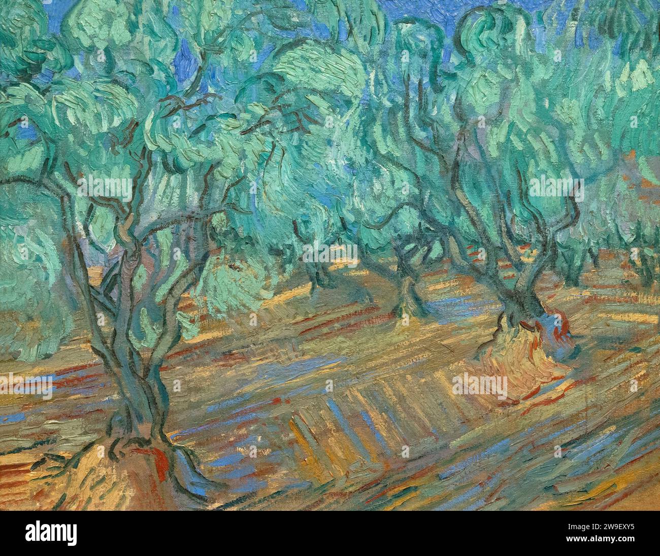 Olive Grove, Vincent van Gogh, 1889 Stock Photo - Alamy