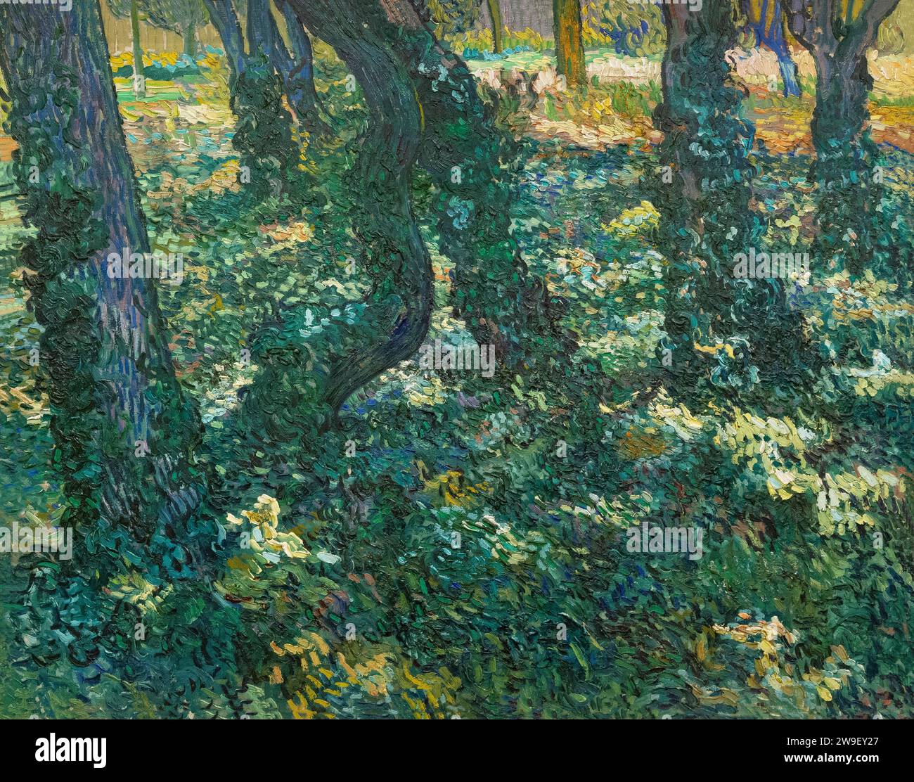 Undergrowth van gogh hi-res stock photography and images - Alamy