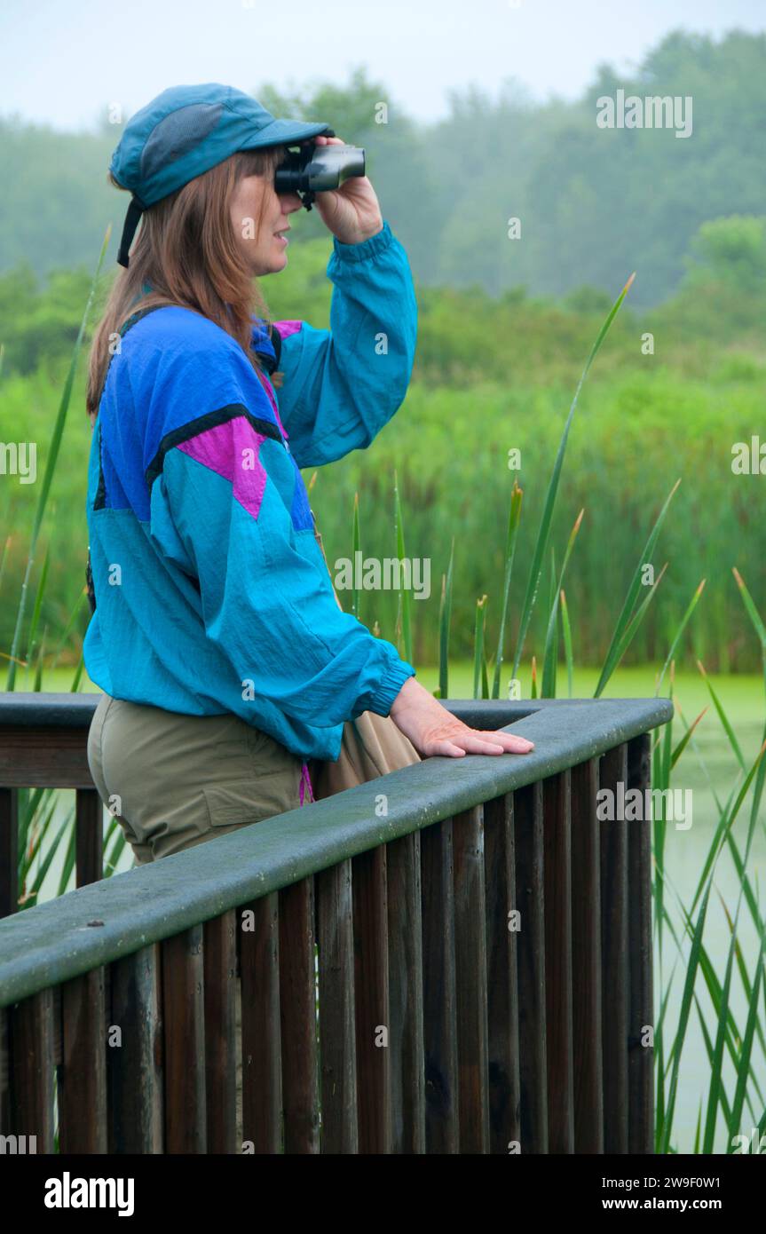 Observation deck on the pond, Major Michael Donnelly Land Preserve ...