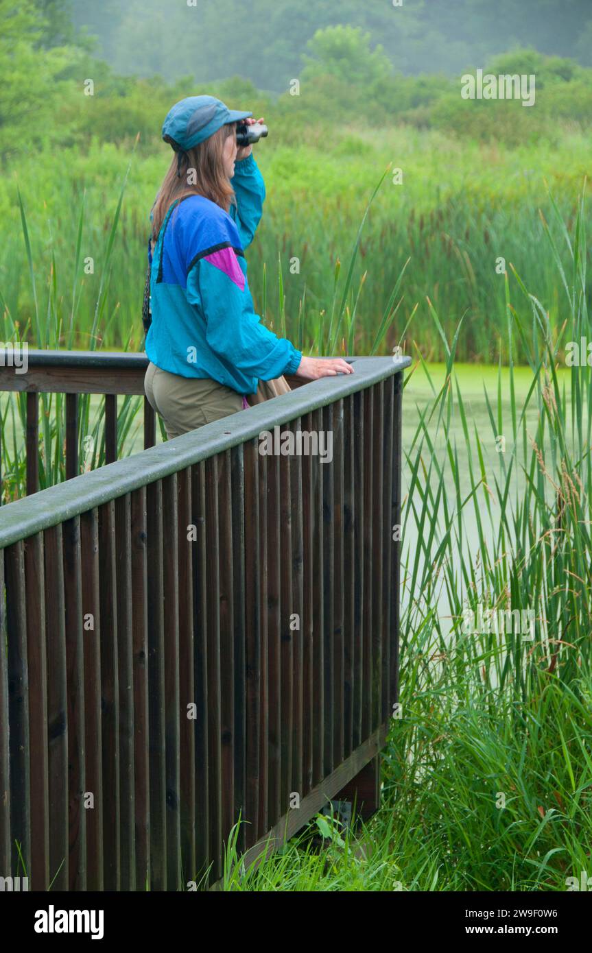 Observation deck on the pond, Major Michael Donnelly Land Preserve ...