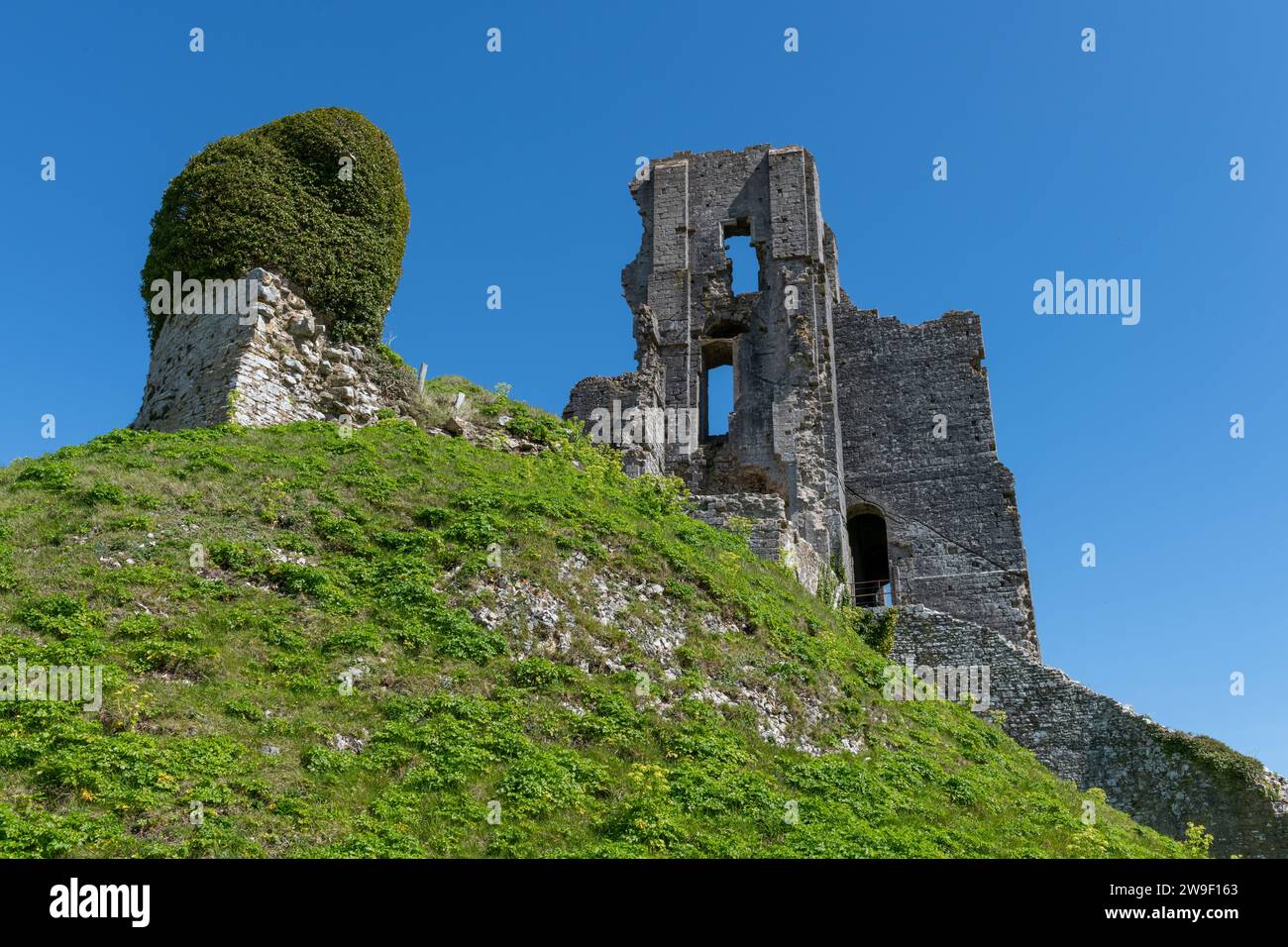 The ruins of Corfe castle in Dorset Stock Photo - Alamy