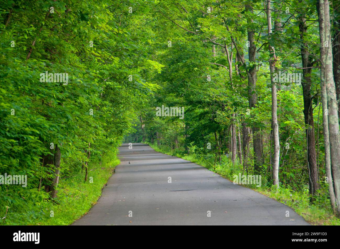 Rail-trail, Farmington River Trail, Farmington, Connecticut Stock Photo ...