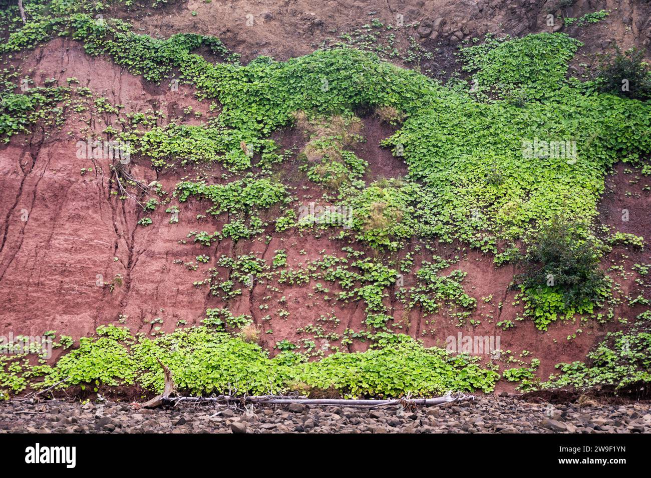 Steep eroded slope on the side of Partridge Island near Parrsboro, Nova ...