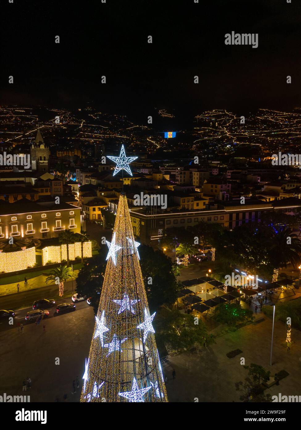 A silhouetted tree stands atop a building as a star twinkles in the ...