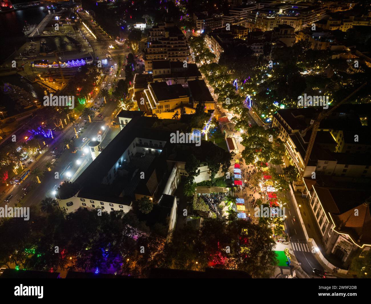 A silhouetted tree stands atop a building as a star twinkles in the ...