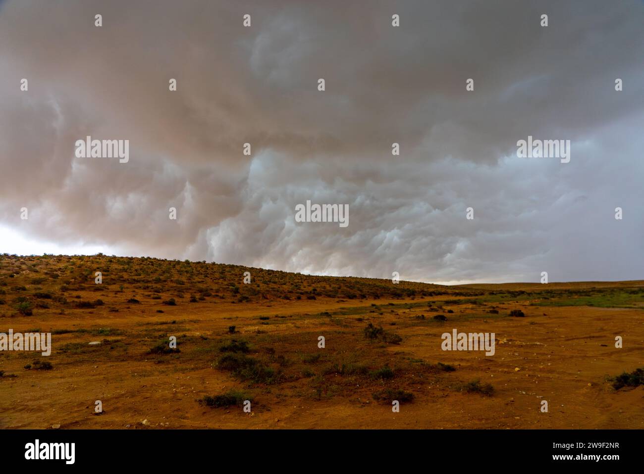 Sandstorm in the desert Stock Photo - Alamy