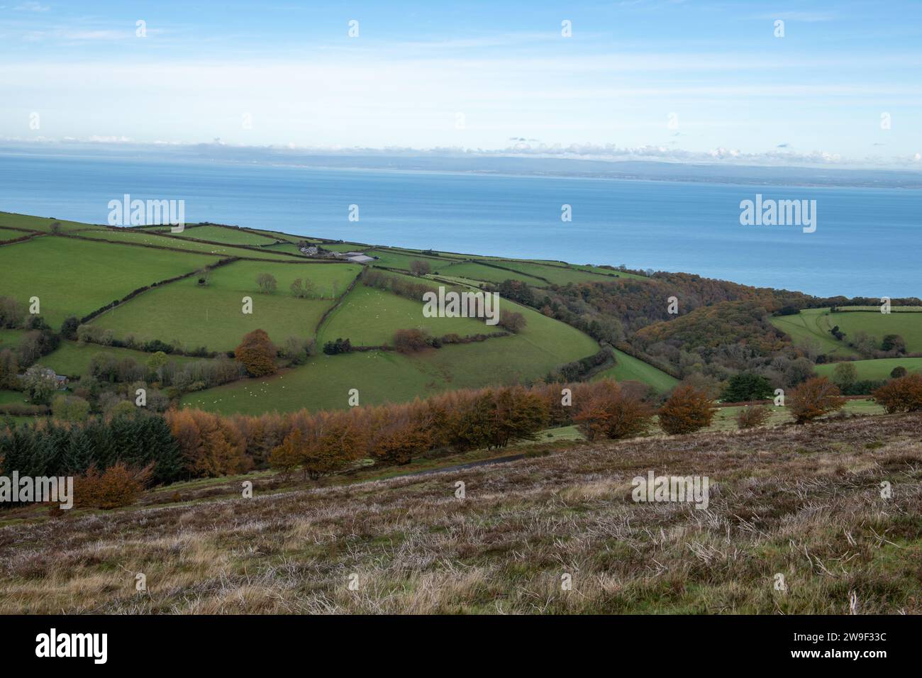 Landscape photo of the autumn colours on Porlock Common at the top of ...