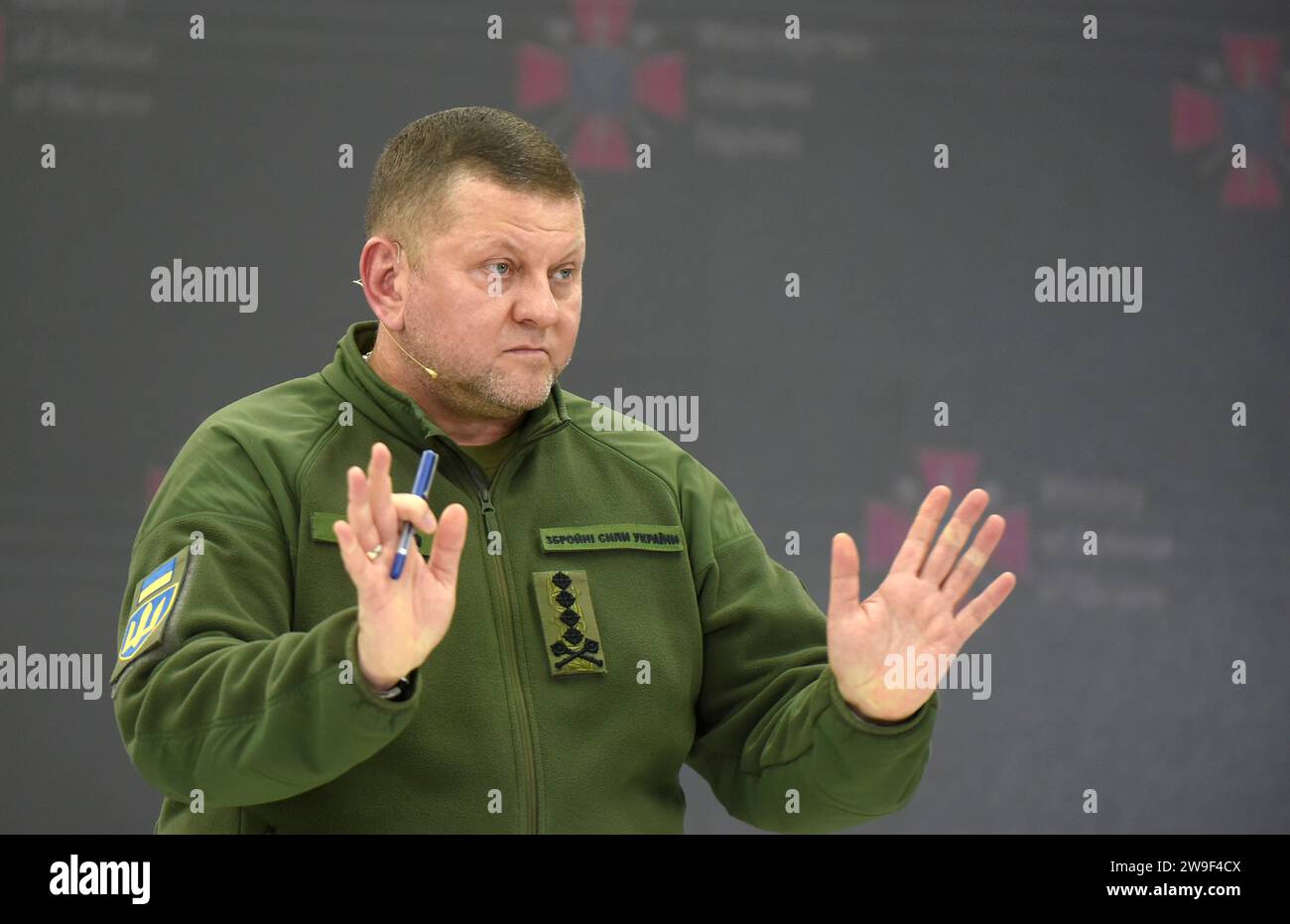 Zaluzhnyi hi-res stock photography and images - Alamy