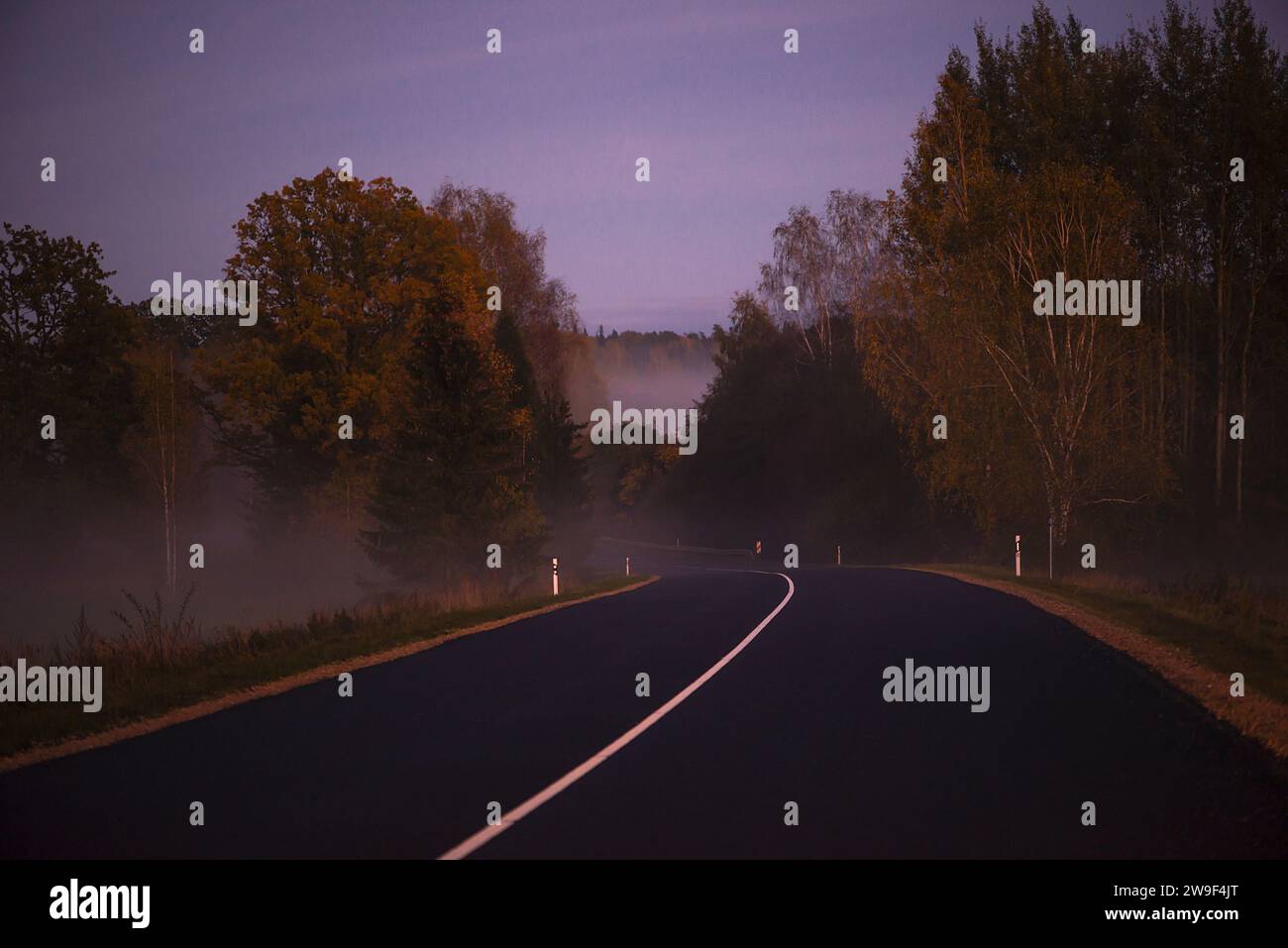 A dark winding road meanders through a misty forest, the path lined ...