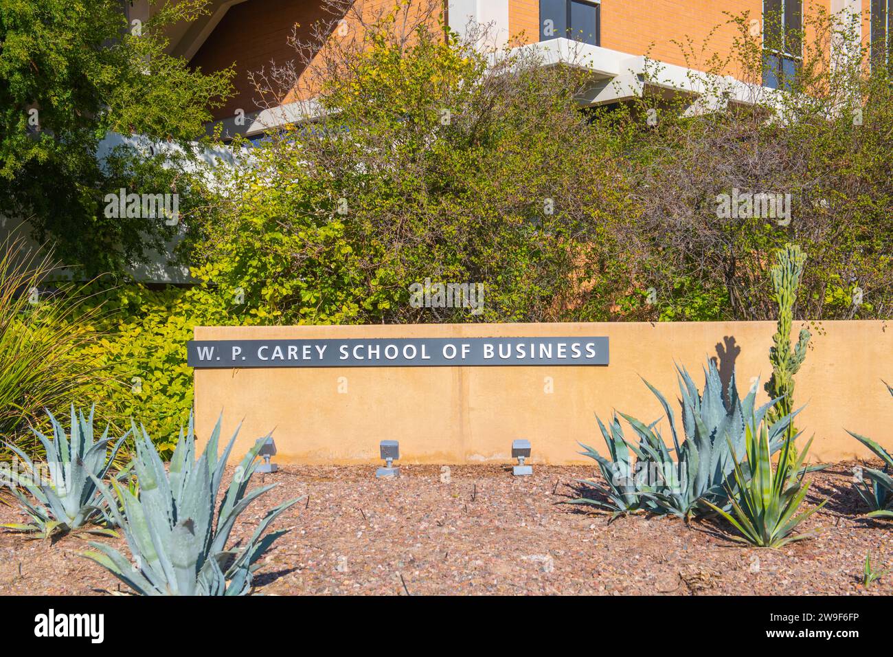 Arizona state university w p carey hi-res stock photography and images ...
