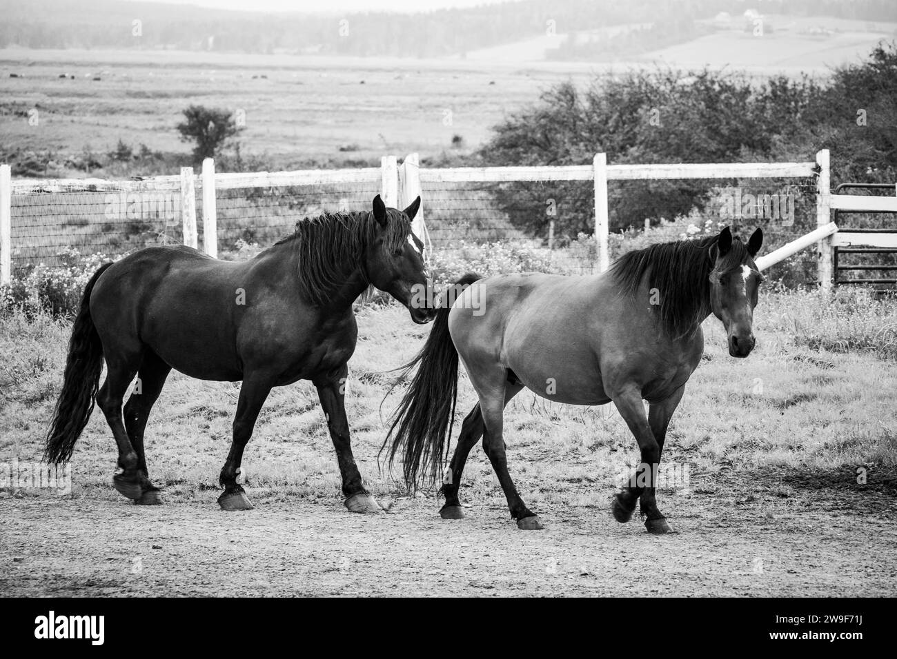 Broadleaf ranch hi-res stock photography and images - Alamy