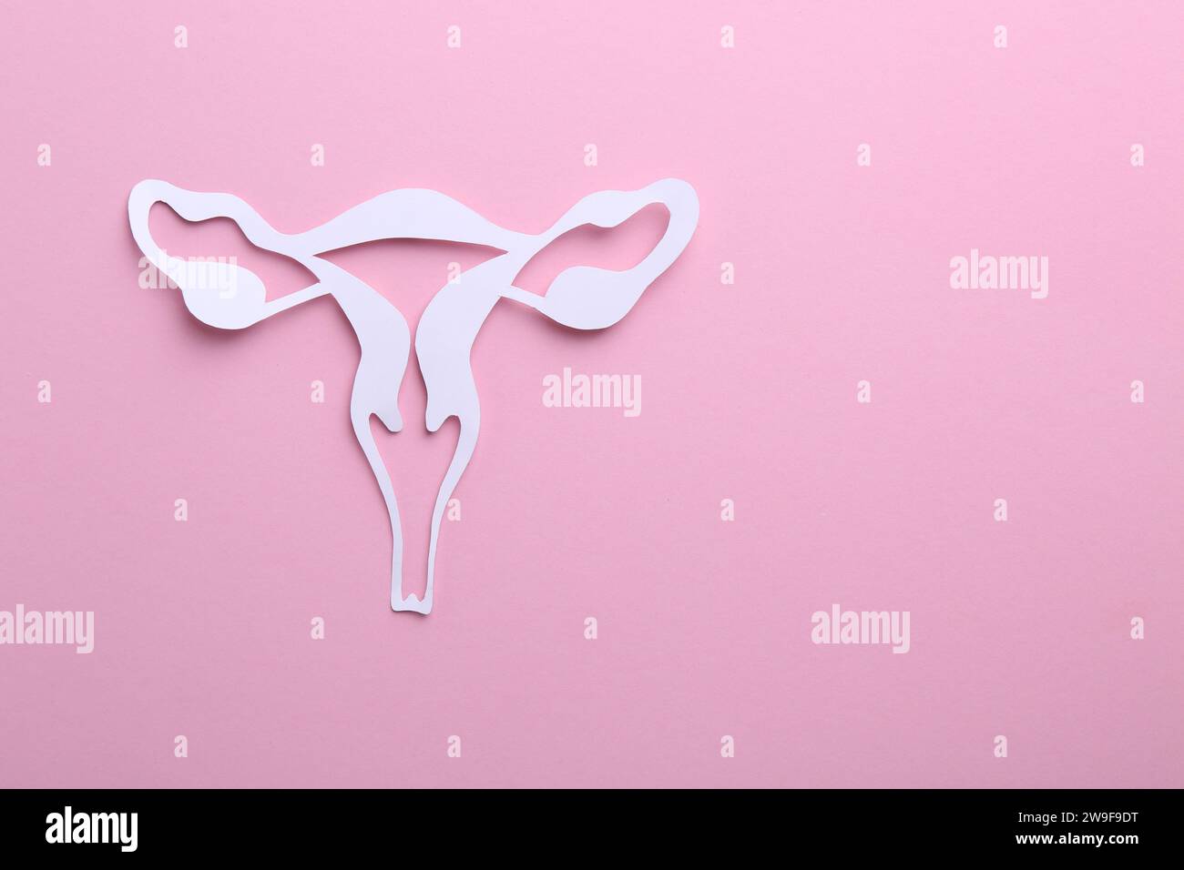 Reproductive medicine. Paper uterus on pink background, top view with ...