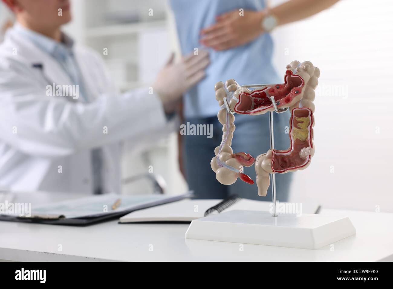 Gastroenterologist examining patient with stomach pain in clinic, focus ...