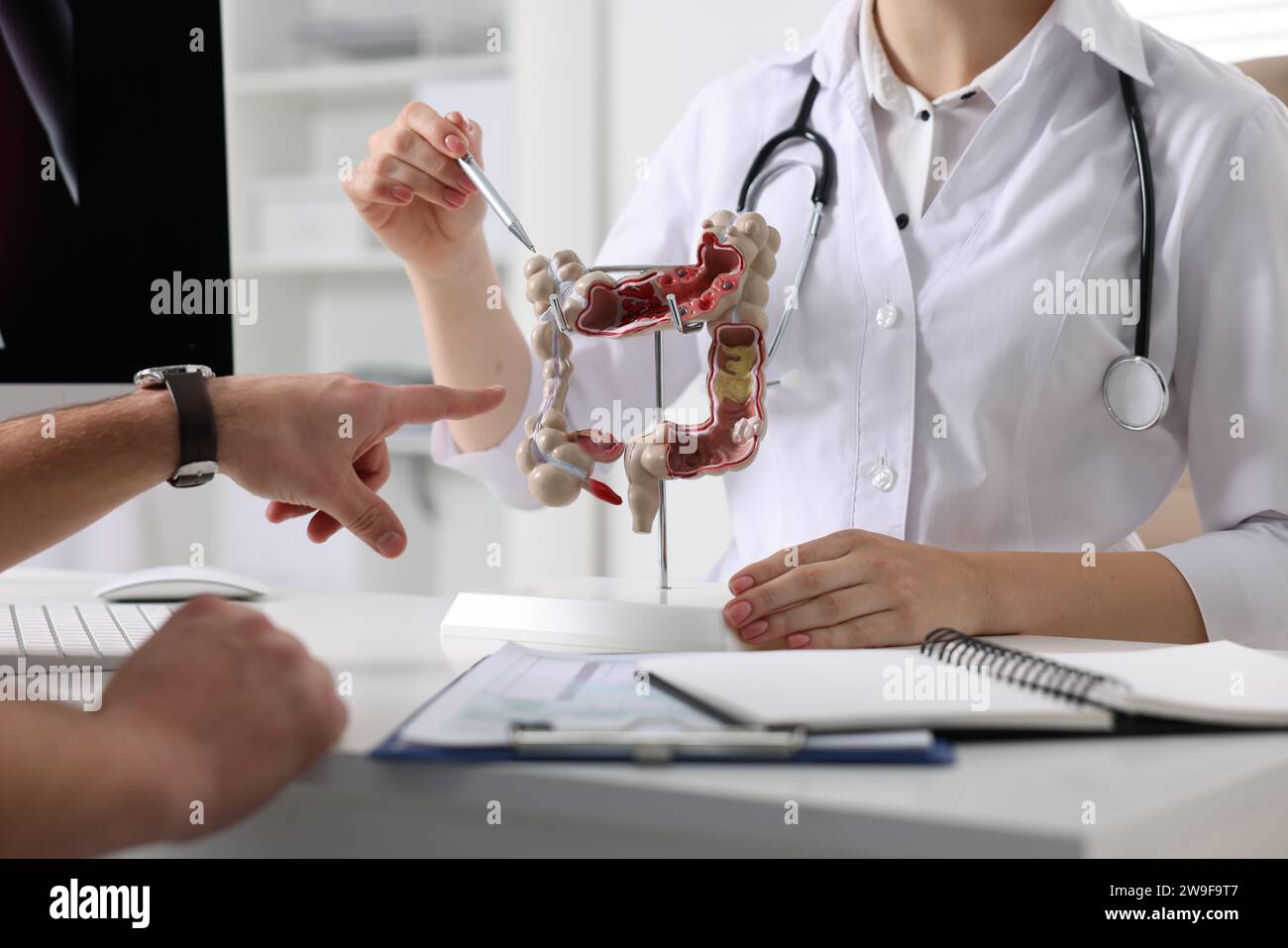 Gastroenterologist with anatomical model of large intestine consulting ...