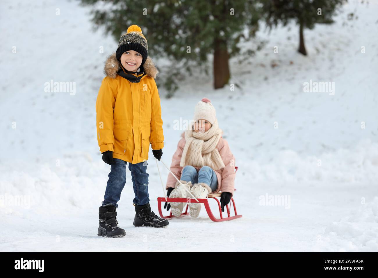 Little boy pulling sledge with his sister through snow in winter park ...