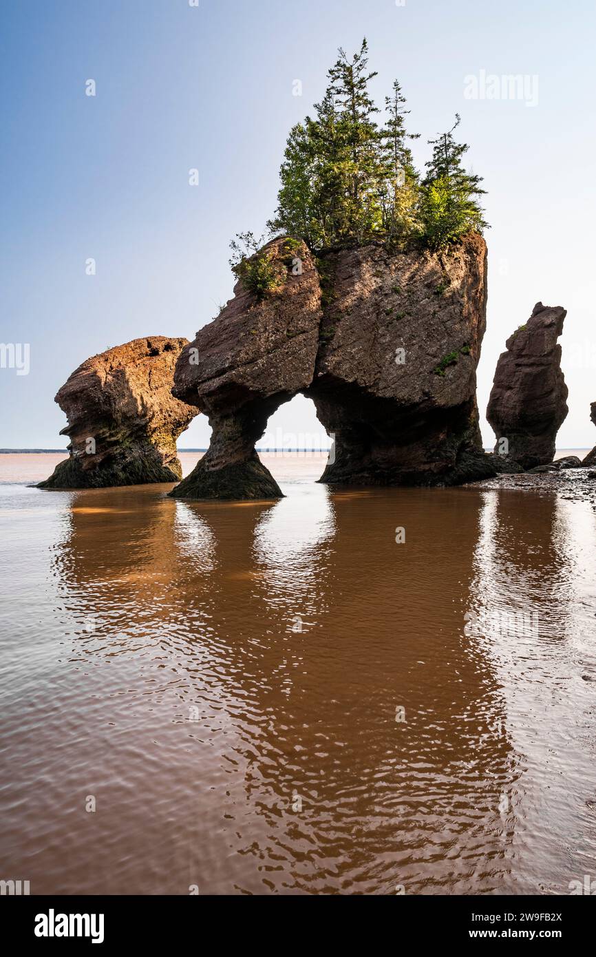 Coastal erosion has created stone "flowerpot" outcrops that tourists ...