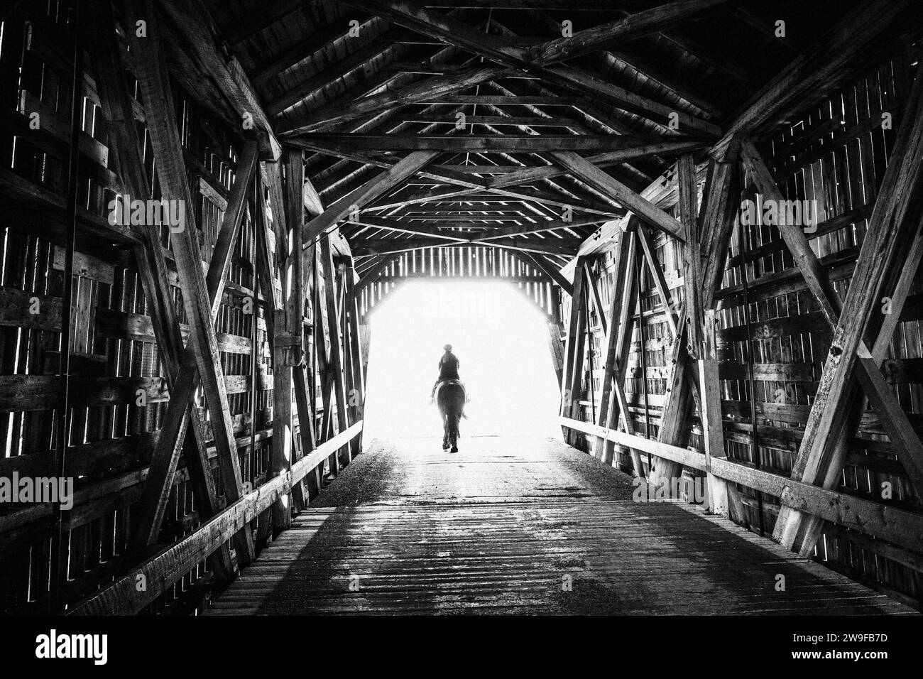 Riding a horse from Broadleaf Ranch into the brightness at the end of a ...