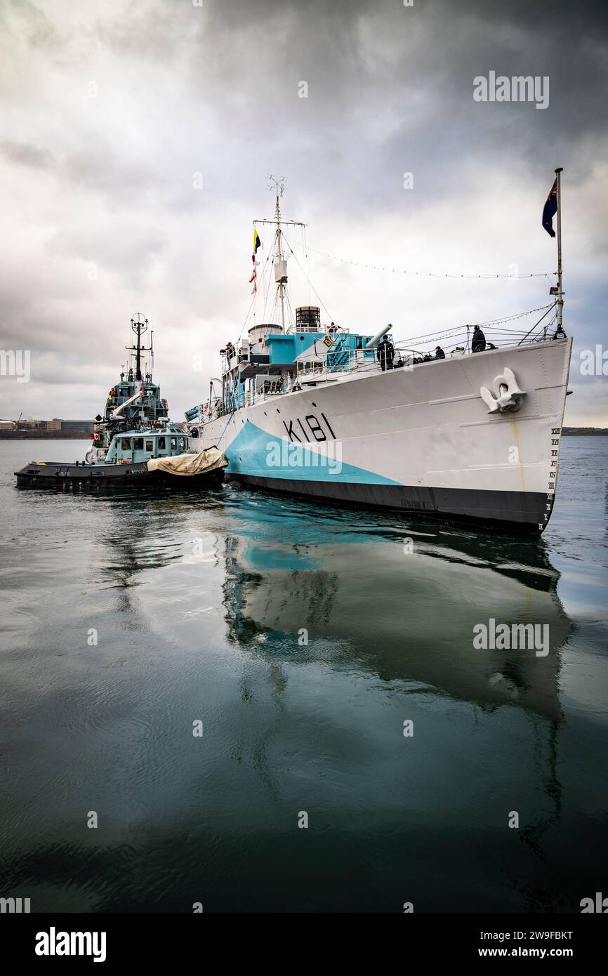 Camouflage paint scheme hi-res stock photography and images - Alamy