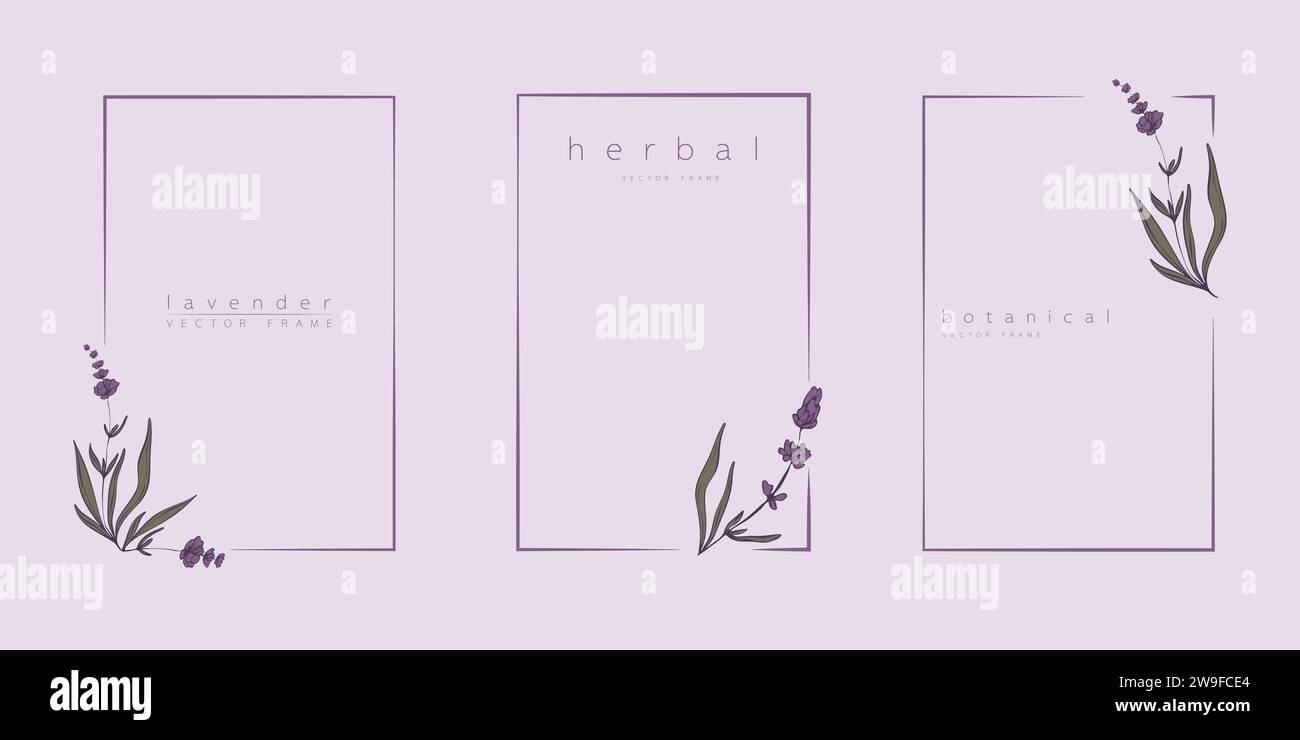 Set of lavender frame templates in minimal linear style with hand drawn ...