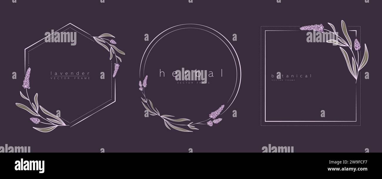 Set of lavender frame templates in minimal linear style with hand drawn ...