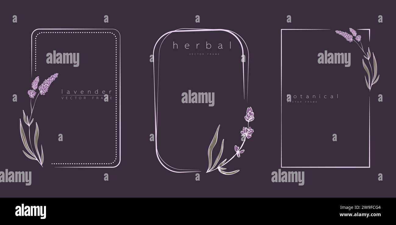 Set of lavender frame templates in minimal linear style with hand drawn ...