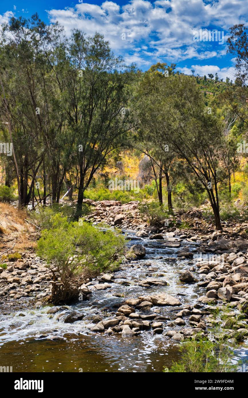 Mountain stream in the forest of the Avon Valley in Walyunga National ...