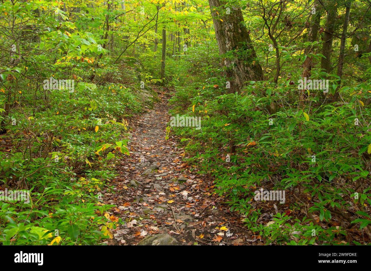 Undermountain hi-res stock photography and images - Alamy