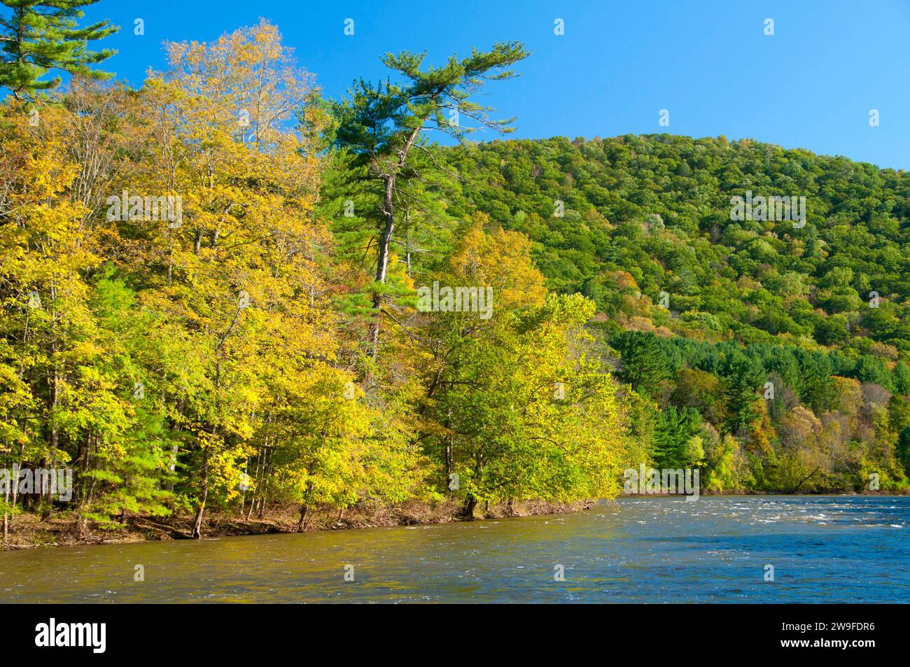 Housatonic state forest hi-res stock photography and images - Alamy