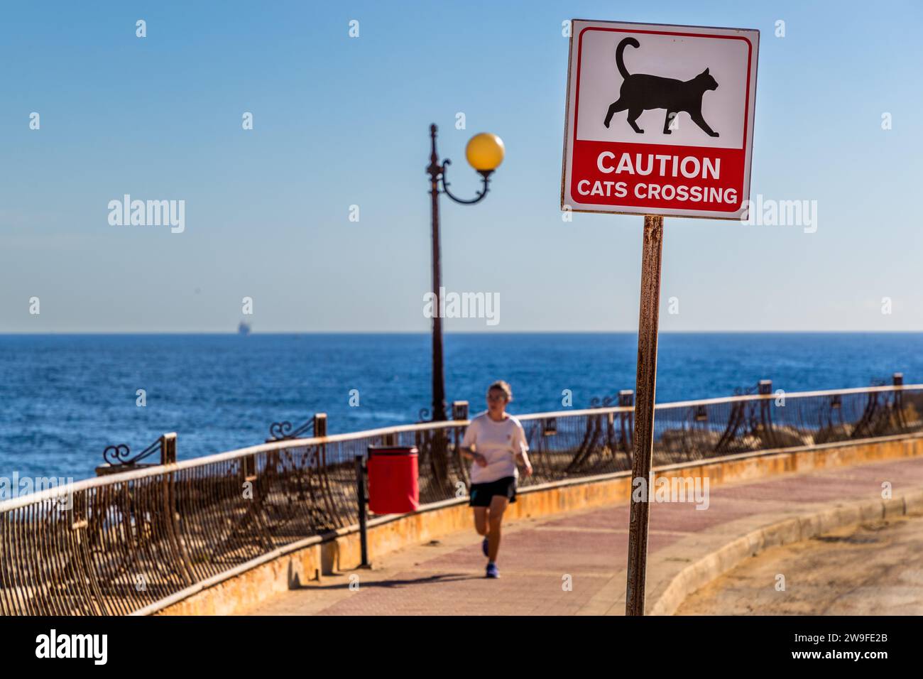 Jogging on the beach promenade under the "Caution Cats Crossing" sign ...