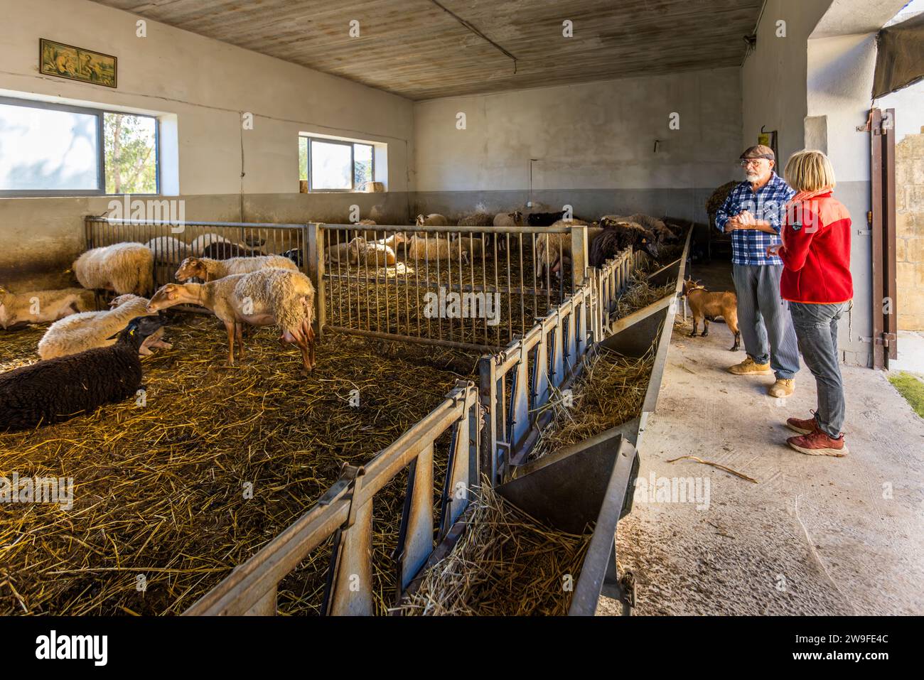 Ta Zeppi Farm in Siġġiewi, Malta Stock Photo - Alamy