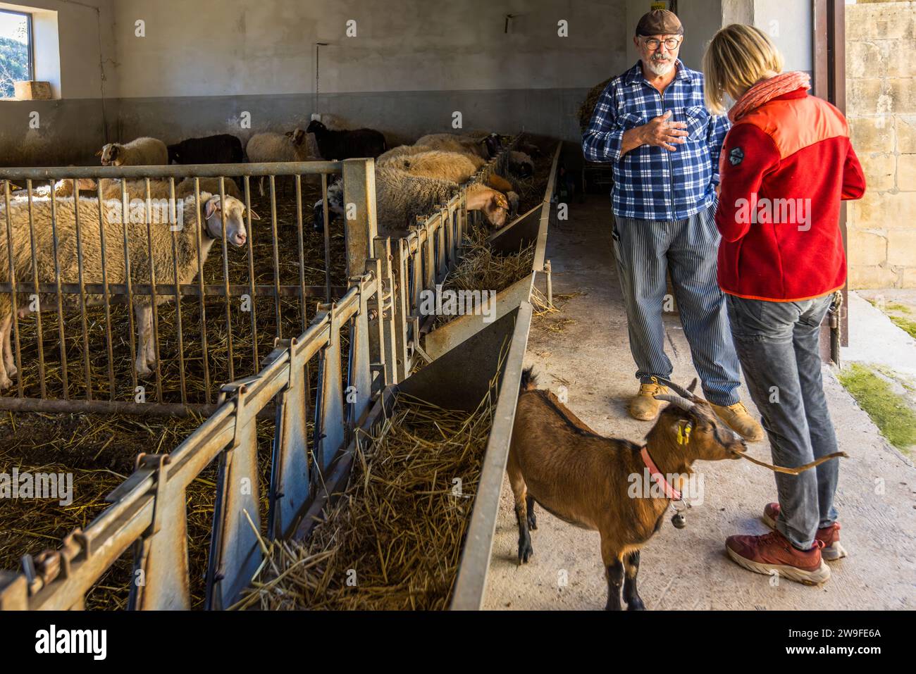 Ta Zeppi Farm in Siġġiewi, Malta Stock Photo - Alamy
