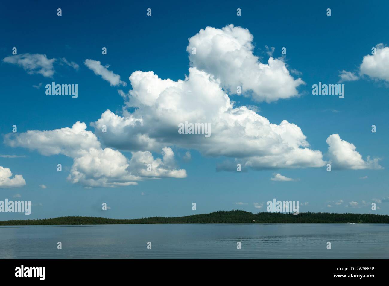 North America; United States; Alaska; Lake Louise: Nelchina Basin ...